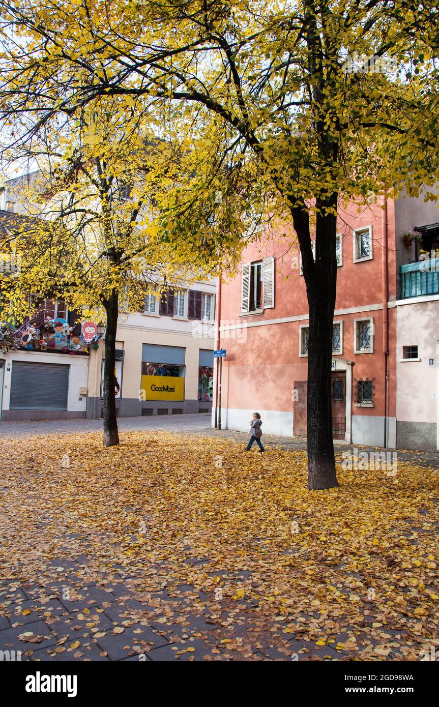 child under a tree in autumn Stock Photo - Alamy