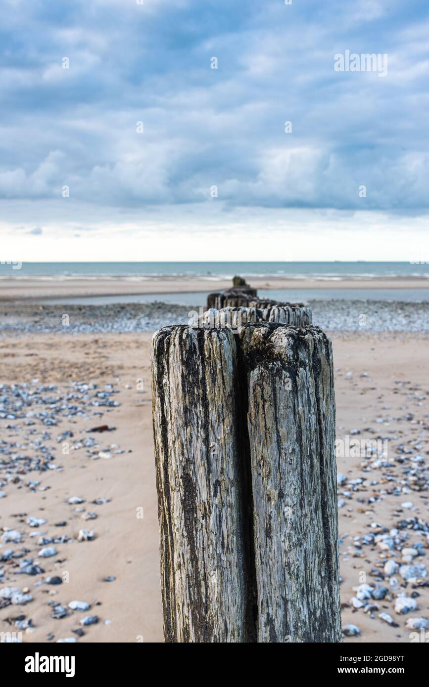 Breakwater poles on a beach in northern France Stock Photo - Alamy