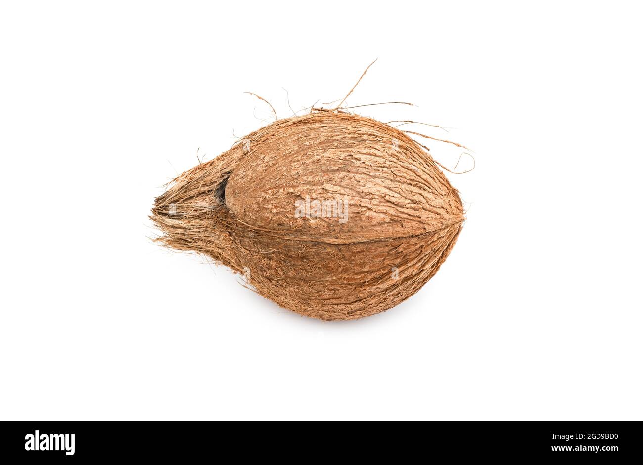 Peeled organic fresh coconut on isolated white background Stock Photo ...