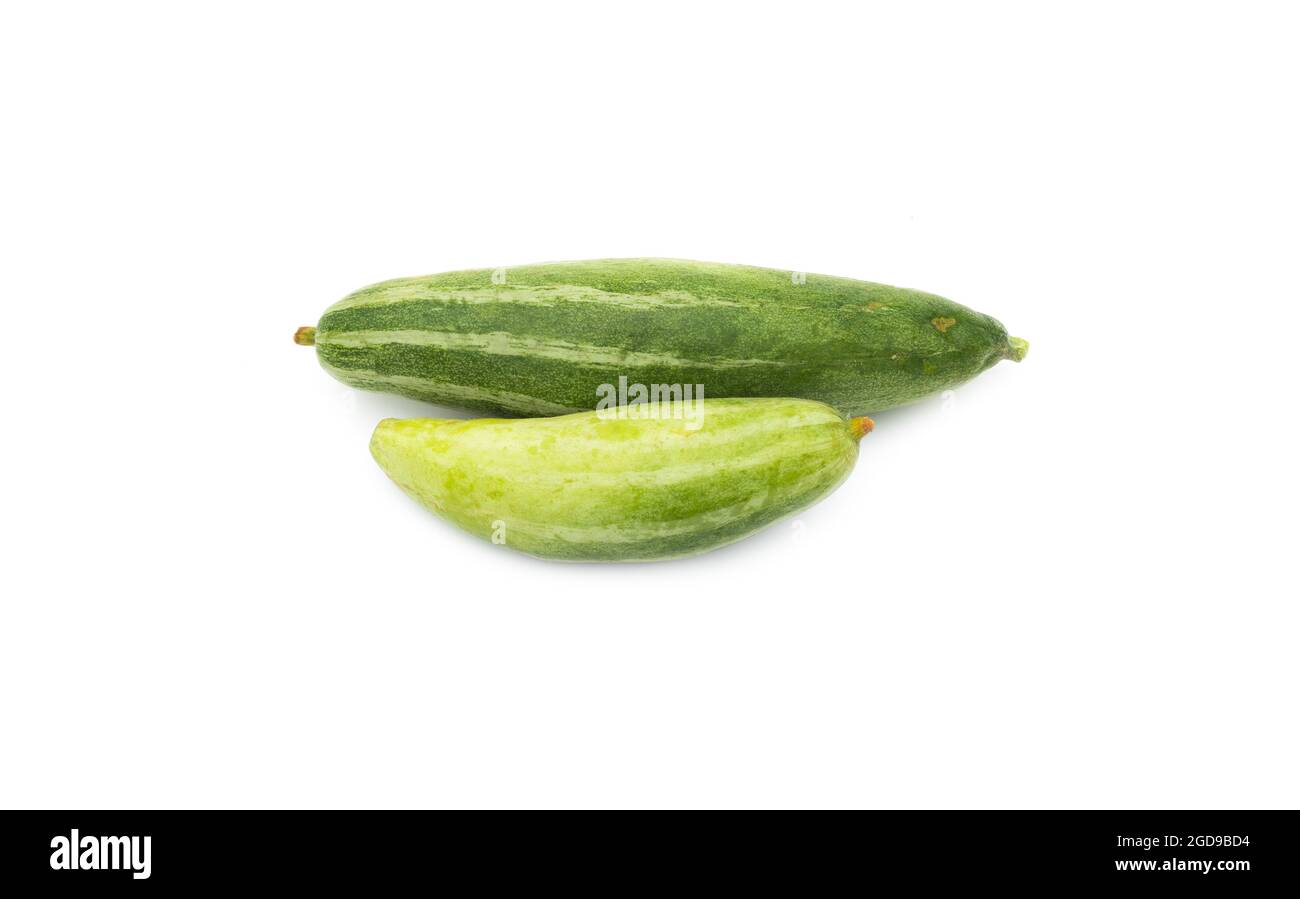 Raw hybrid pointed gourd vegetable on an isolated white background ...