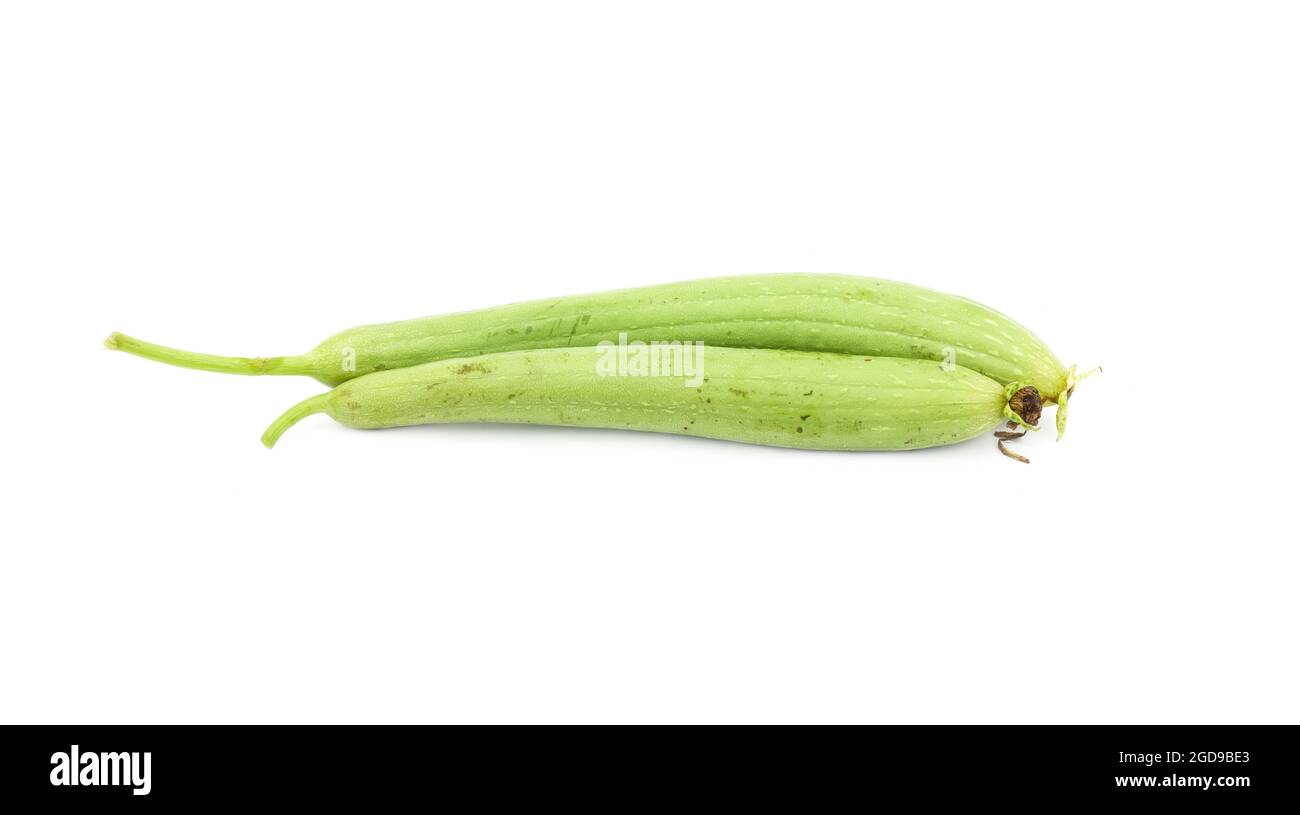 Two young fresh sponge gourd close up on isolated white background ...