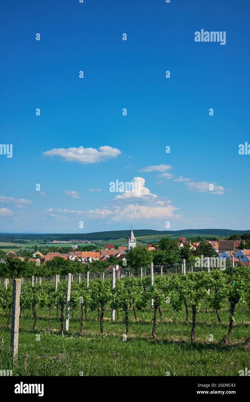 Pavlov village hi-res stock photography and images - Alamy