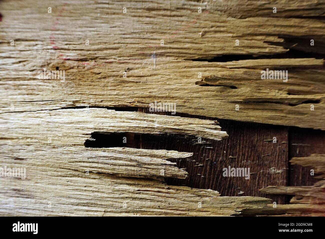 Ripped wood hi-res stock photography and images - Alamy