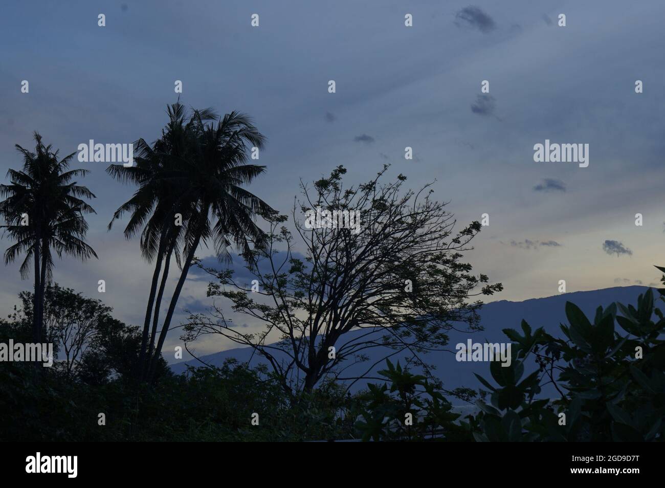 Atas evening hi-res stock photography and images - Alamy