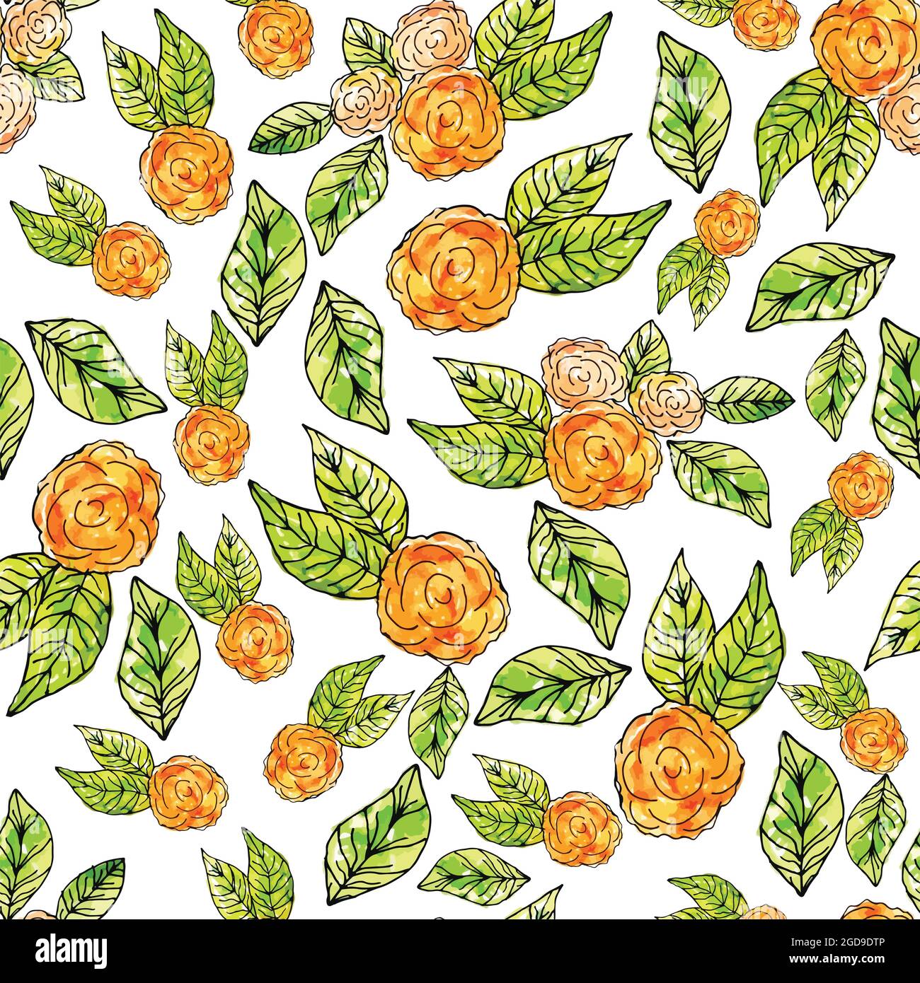 Pattern with autumn roses drawn in watercolor on transparent background ...