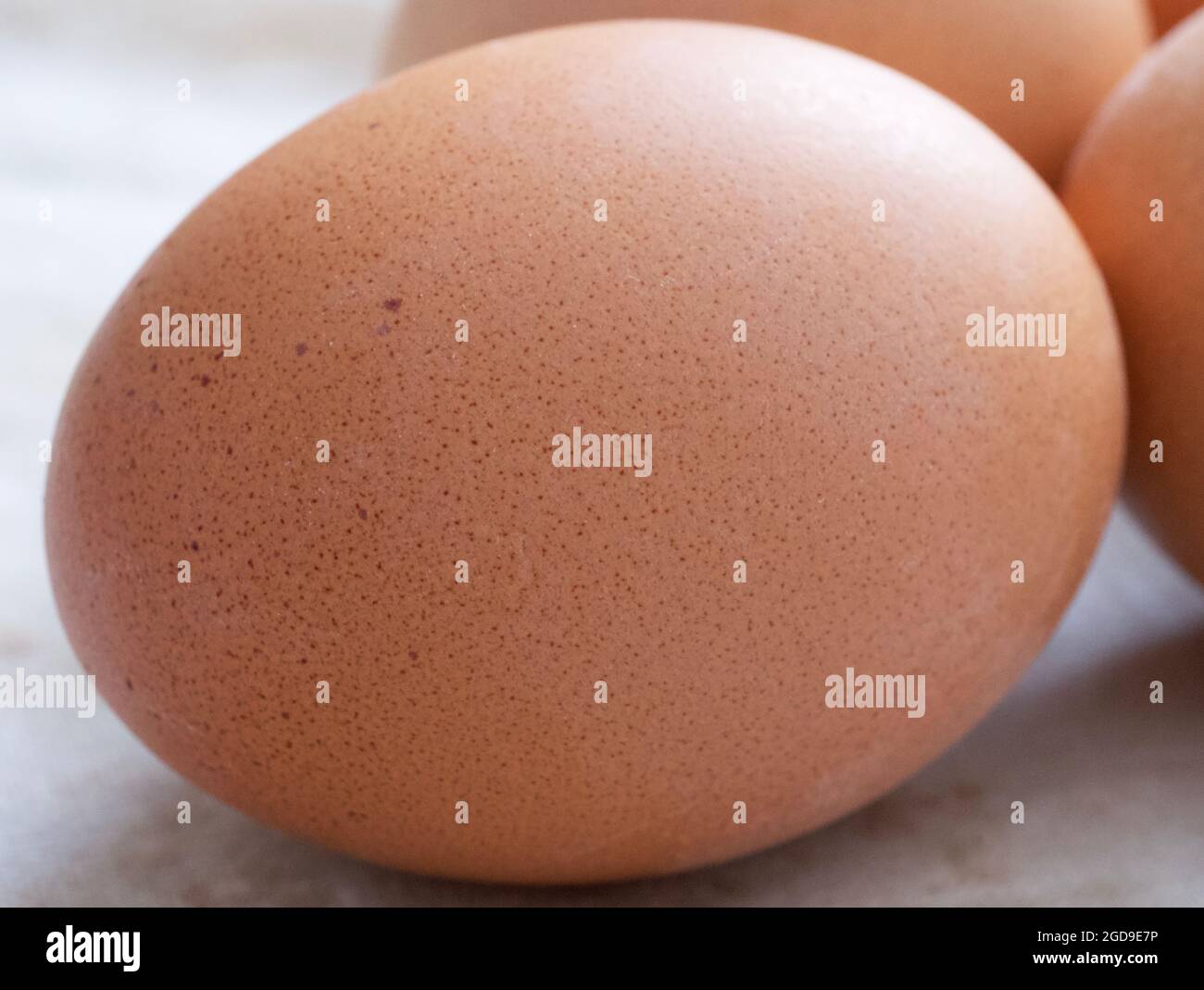 Egg shell texture hi-res stock photography and images - Alamy