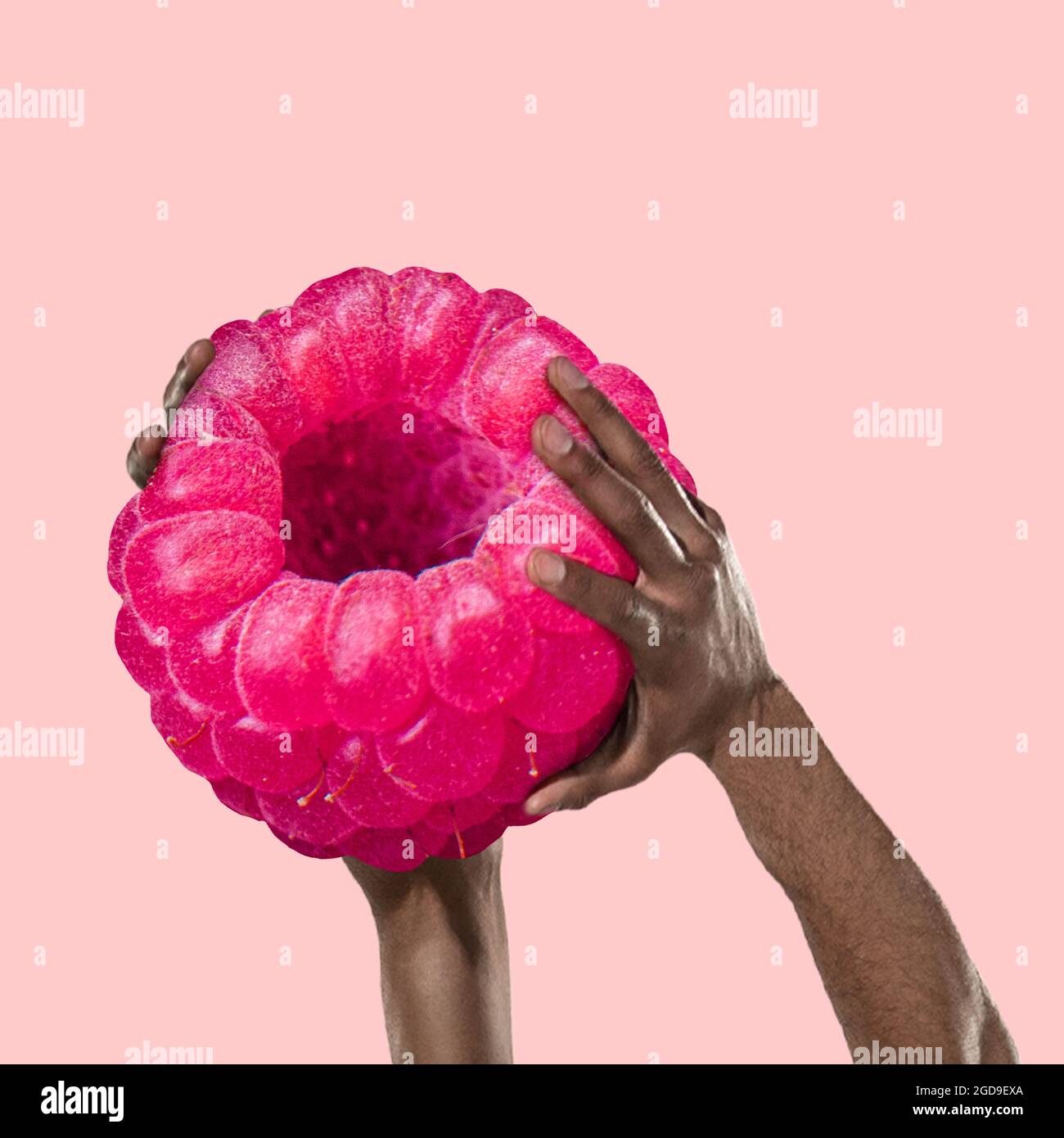 Composition with huge raspberry and human strong hands holding it ...