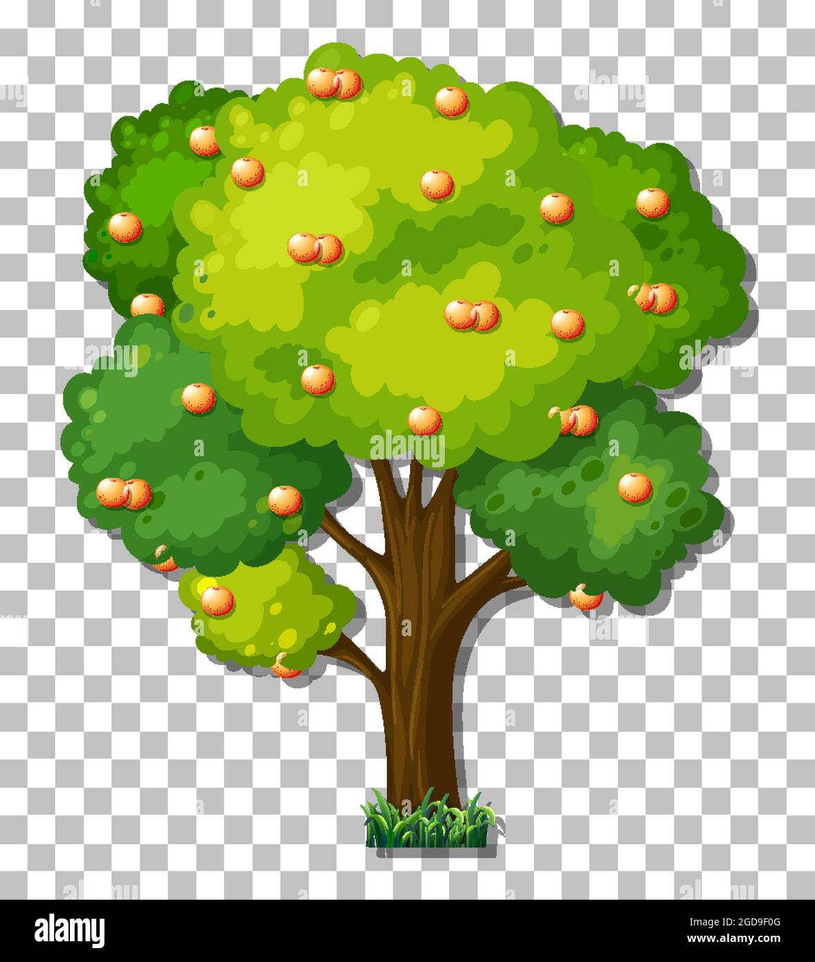 Orange tree on transparent background illustration Stock Vector Image ...