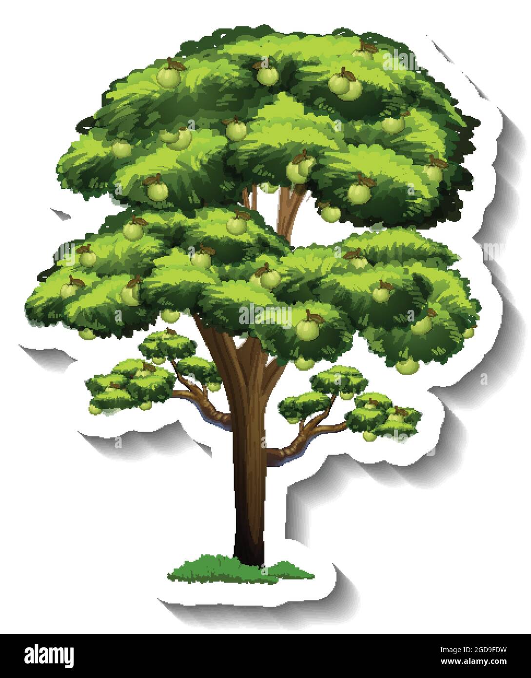 Guava tree on transparent background illustration Stock Vector Image ...