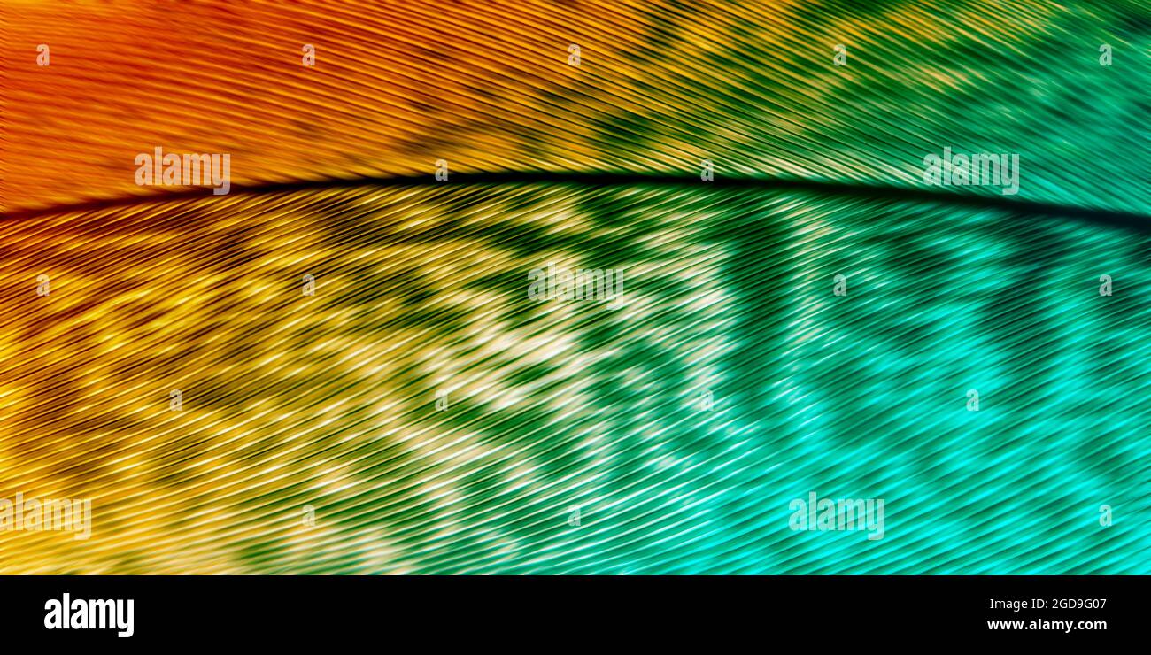 Modern art work, bright juicy colors background. Floating painting ...