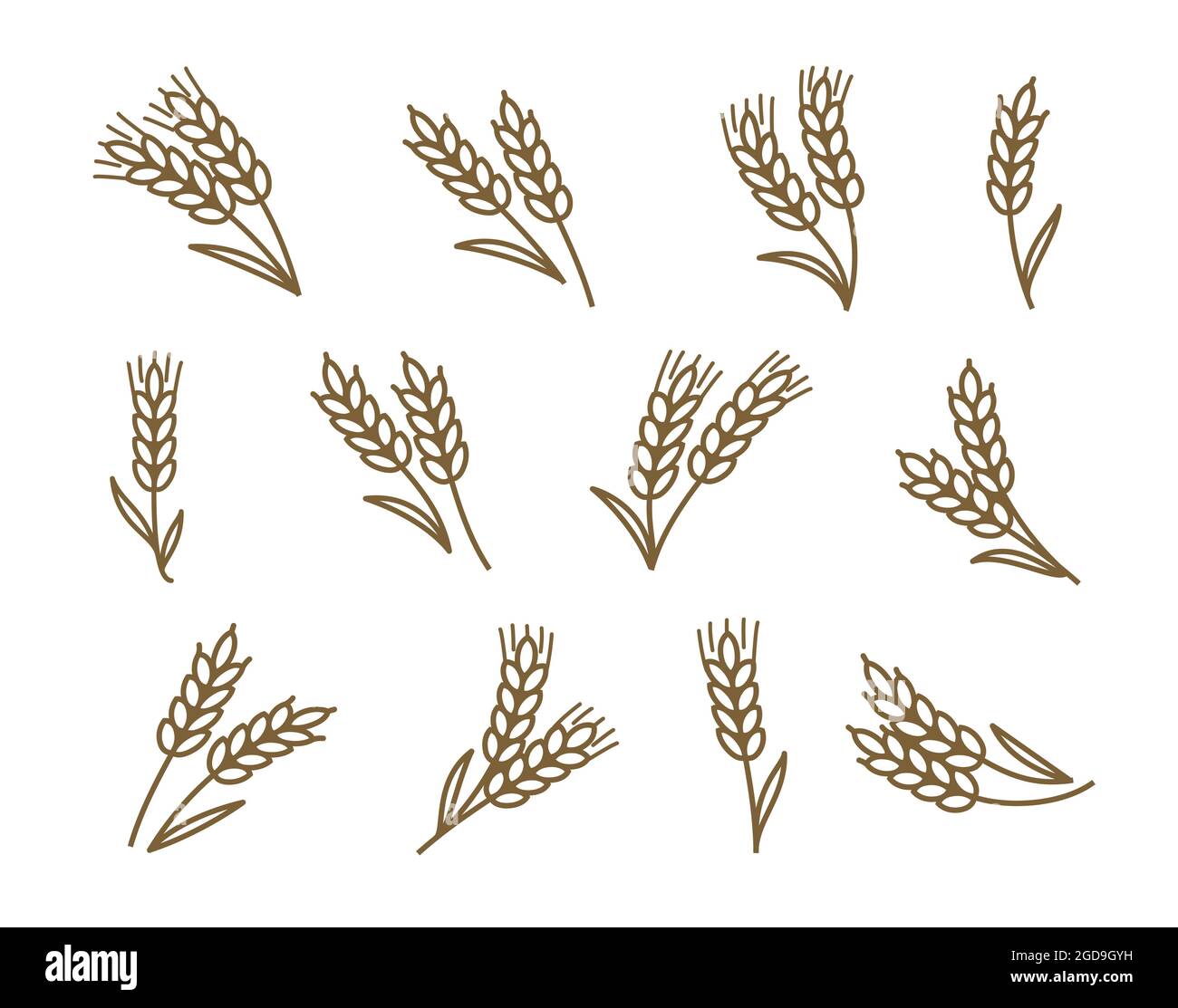 Vector illustration of ears of wheat, barley or rye icons Stock Vector ...