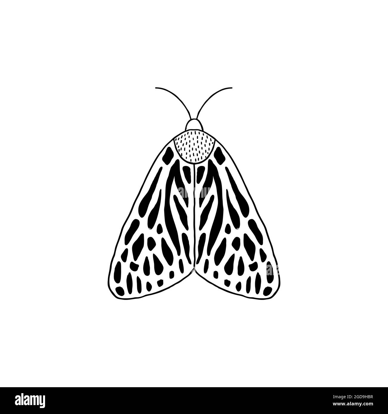Moth in doodle style Stock Vector Image & Art - Alamy