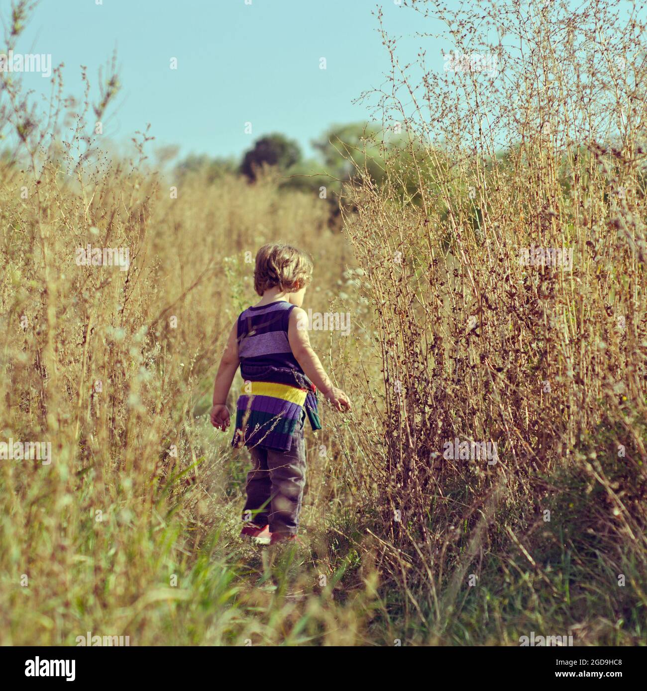 little boy walking at rural field Stock Photo - Alamy