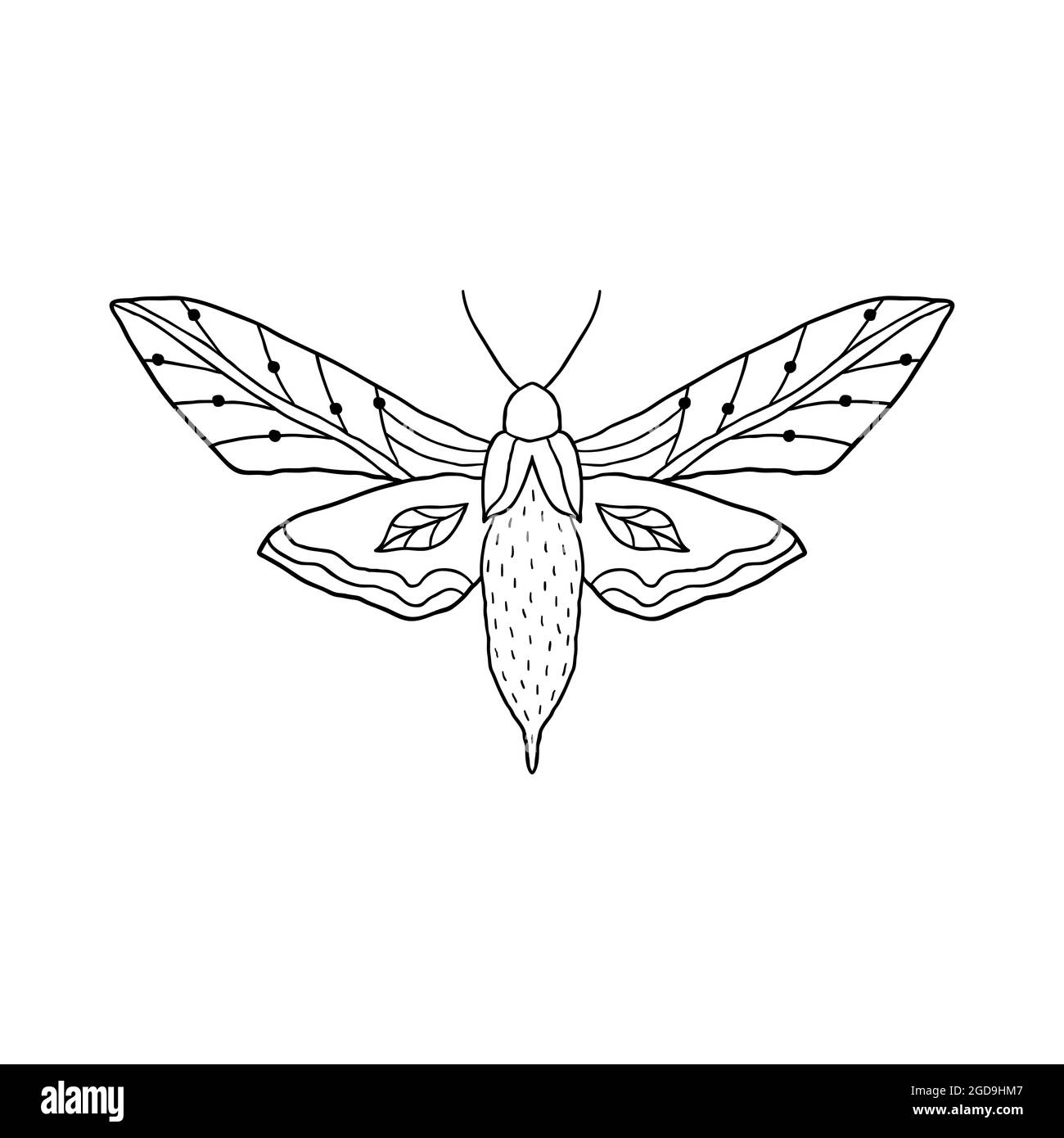 Beautiful butterfly wings in Black and White Stock Photos & Images - Alamy