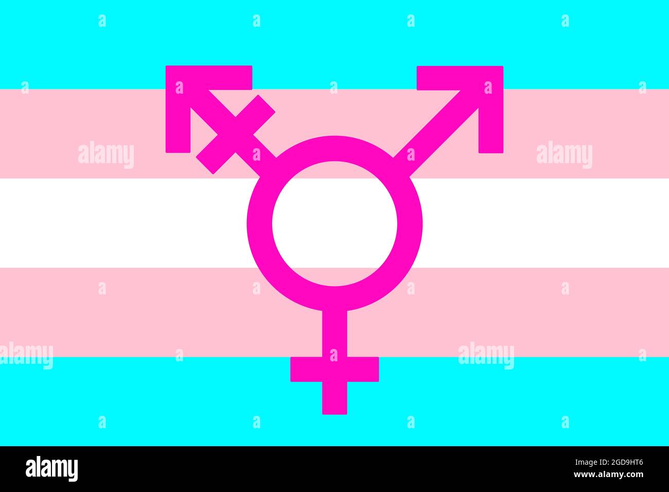 Transgender flag with icon symbol inside. Vector illustration Stock ...