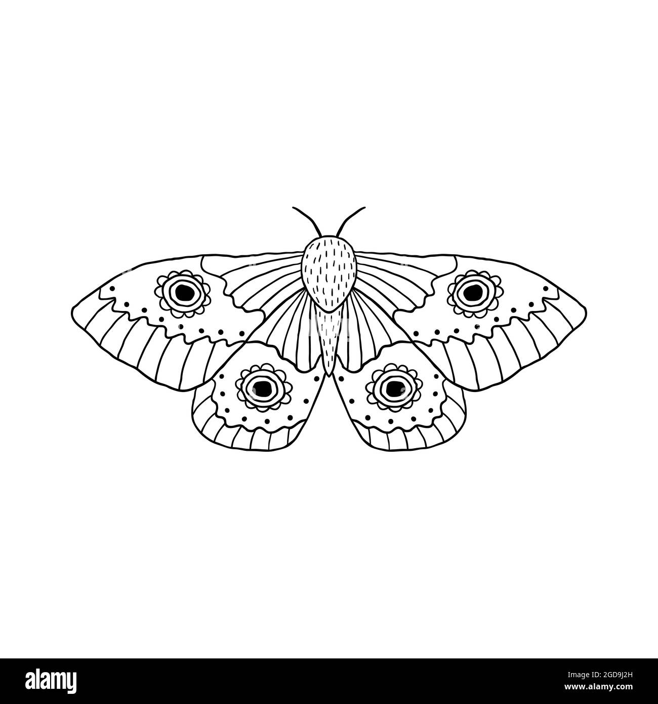 Beautiful butterfly wings in Cut Out Stock Images & Pictures - Alamy