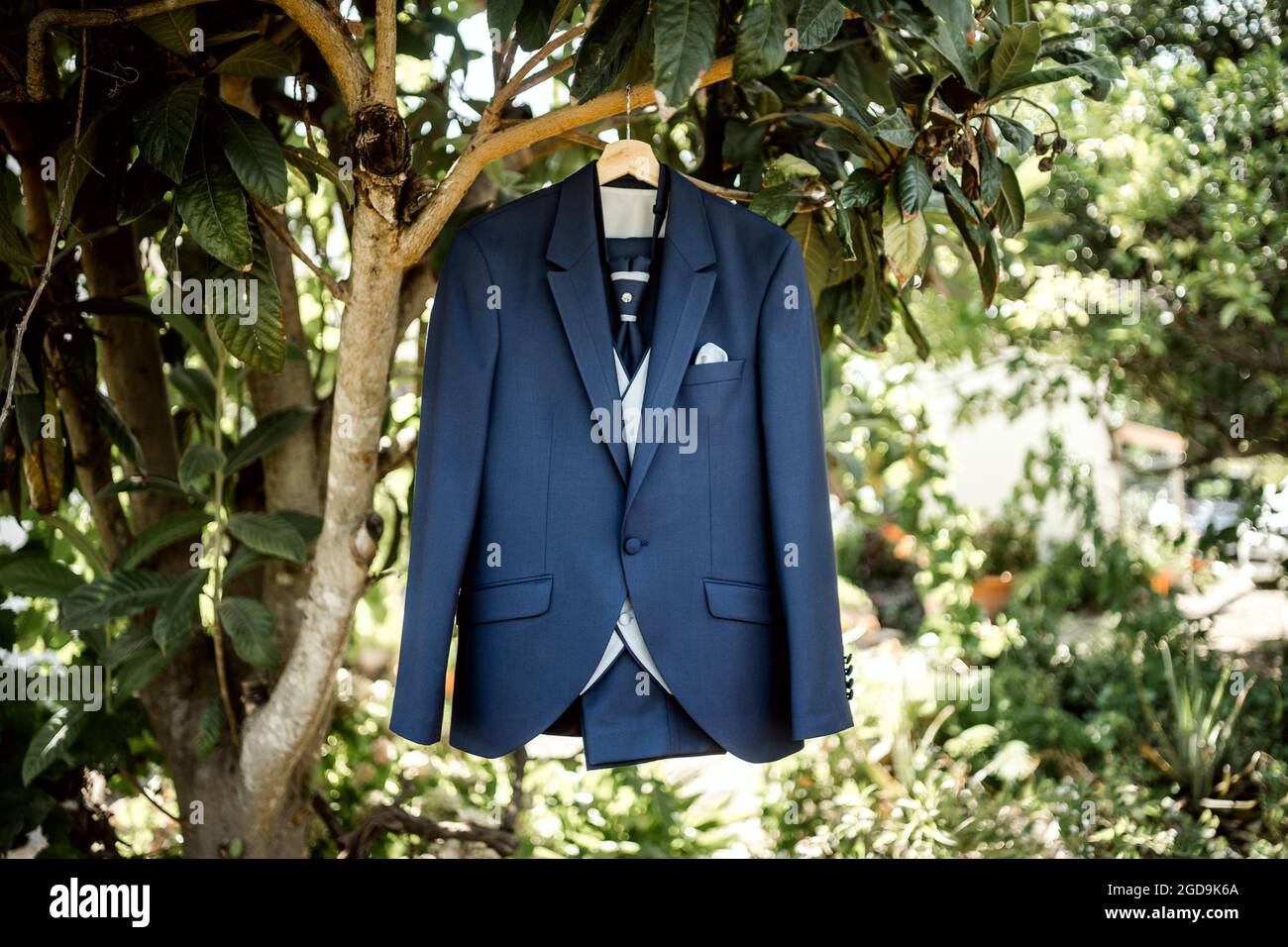Elegant dark blue suit with waistcoat and tie hanging on a tree Stock ...