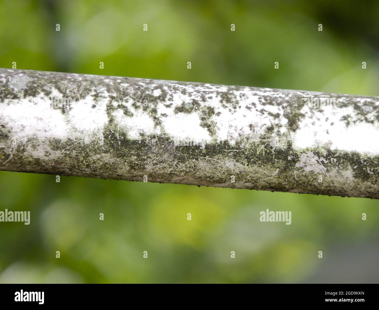 Moss covered metal structure hi-res stock photography and images - Alamy