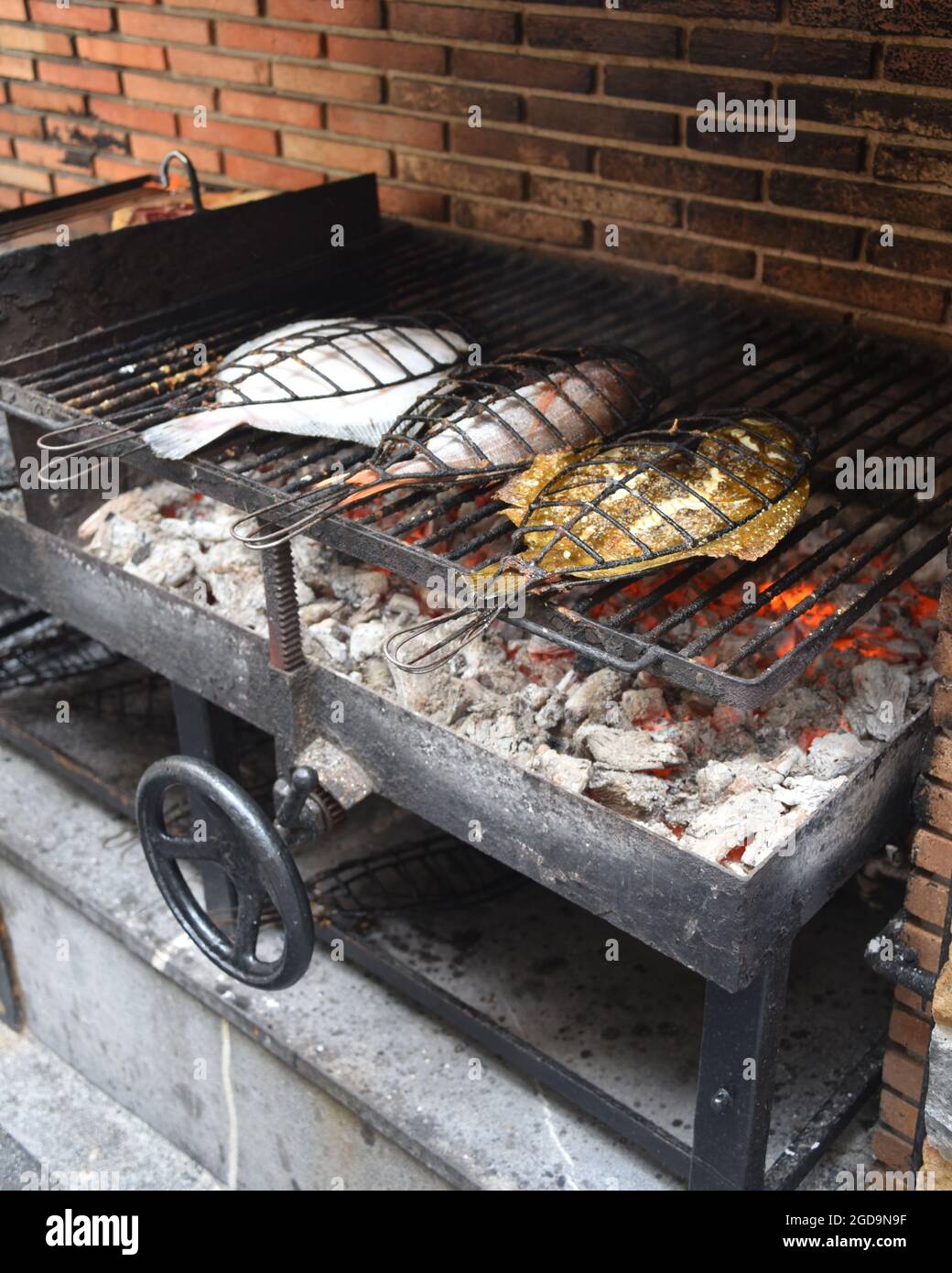 Turbot fish hi-res stock photography and images - Alamy