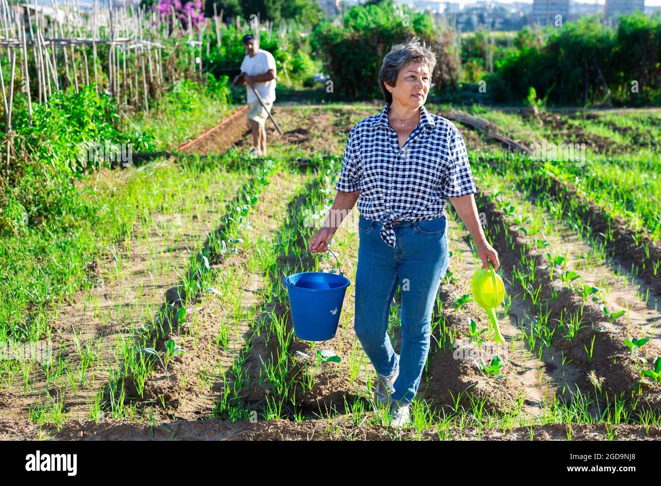 Elderly woman cultivating soil garden hi-res stock photography and ...