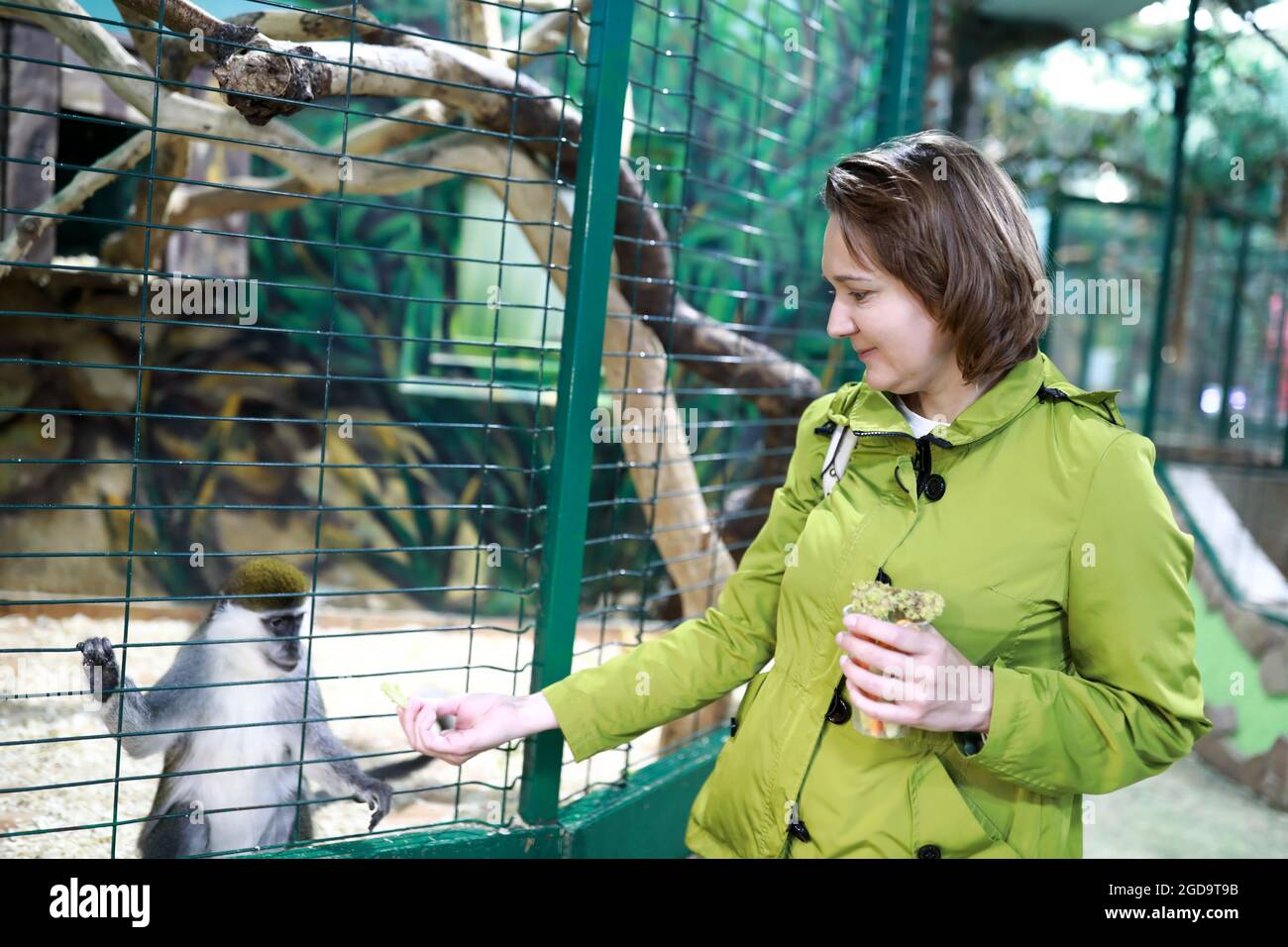 Woman feeding monkey with cabbage in zoo Stock Photo - Alamy