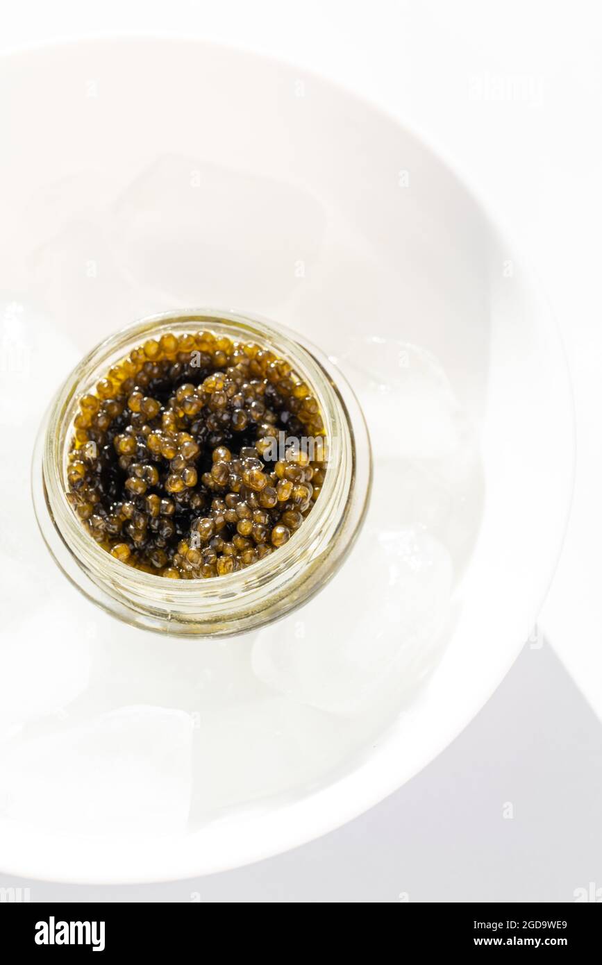Premium caviar black in glass jar served in ice cube, selective focus ...