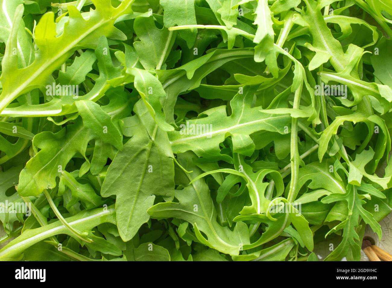 Natural fresh green arugula, close-up, top view Stock Photo - Alamy