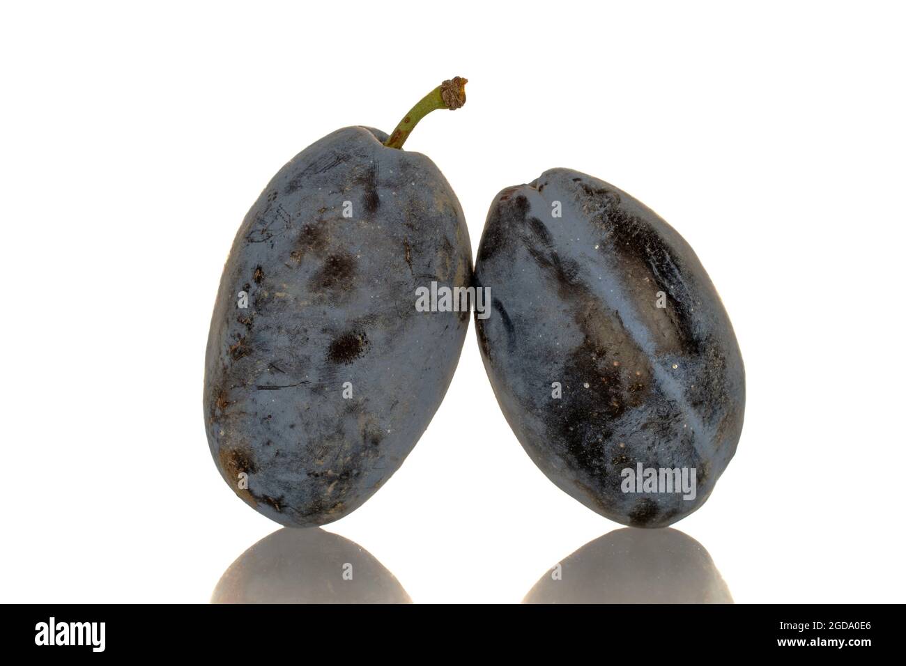Two ripe organic Damson plums, close-up, isolated on white Stock Photo ...