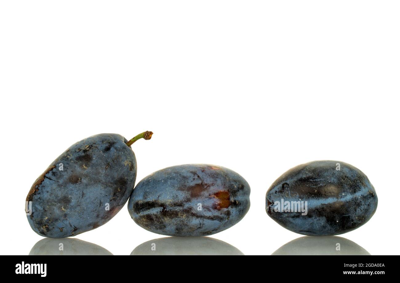 Three ripe organic Damson plums, close-up, isolated on white Stock ...