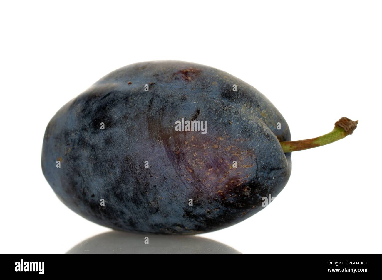 One ripe organic Damson plum, close-up, isolated on white Stock Photo ...