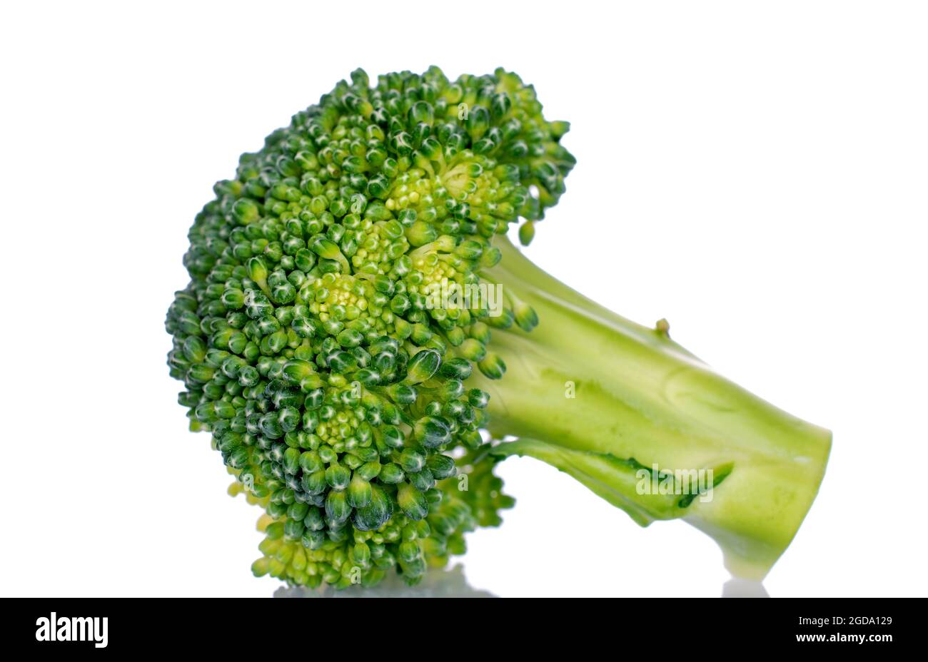 Green not cooked broccoli, close-up, on a white background Stock Photo ...
