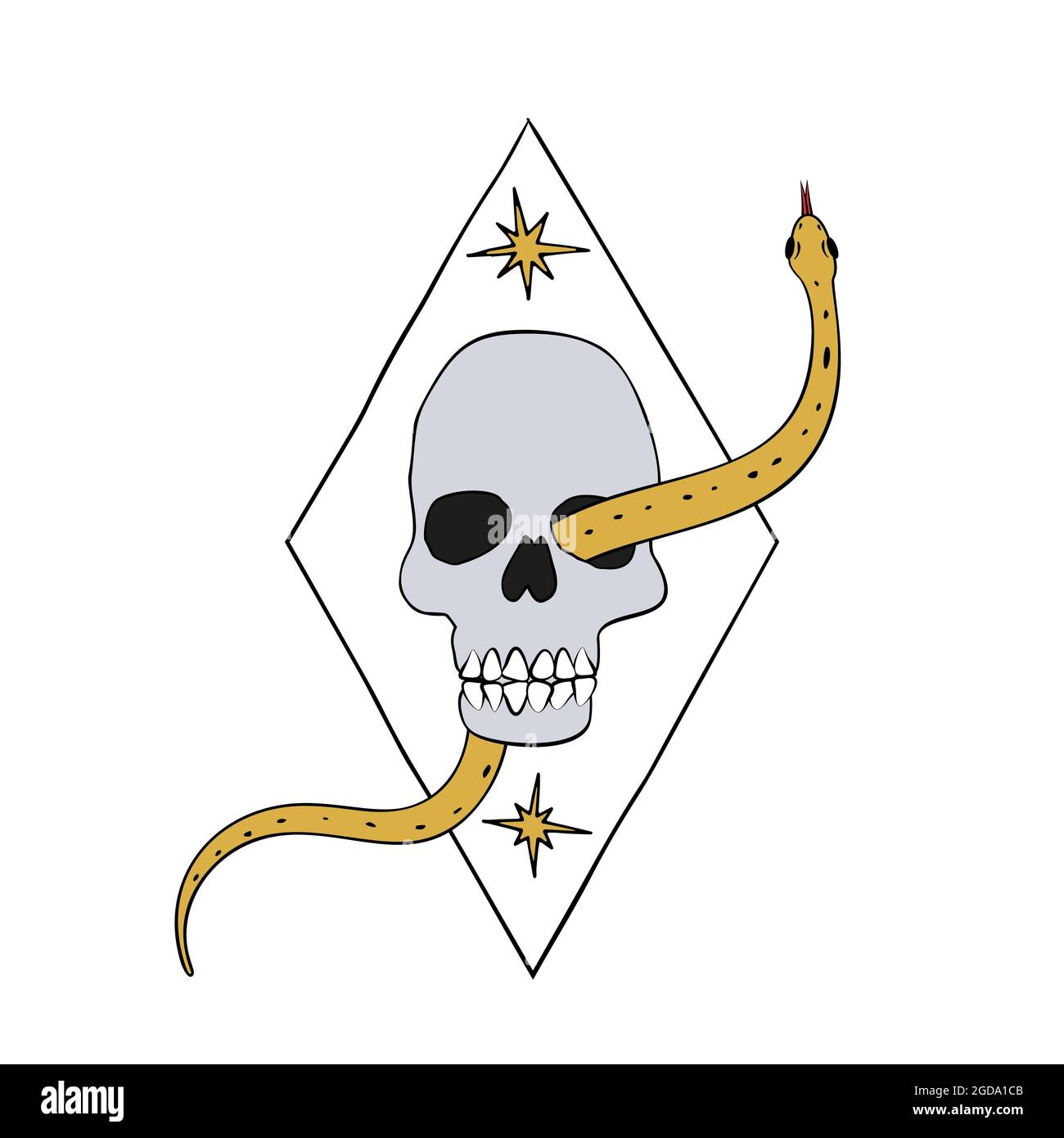 Vintage Mystic snake crawling out of the eye socket of the skull hand ...