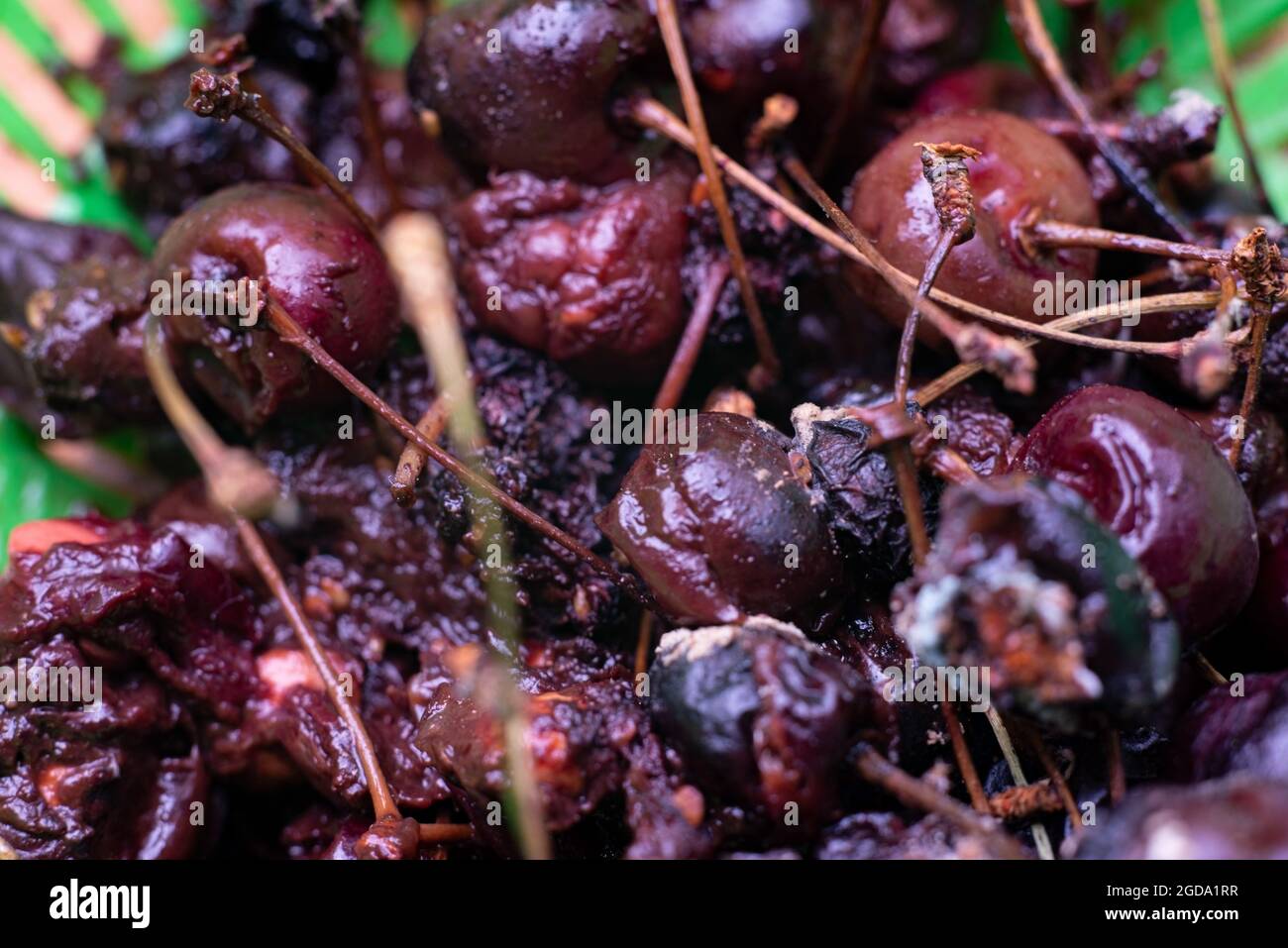 rotten cherries macro texture of missing cherries Stock Photo - Alamy