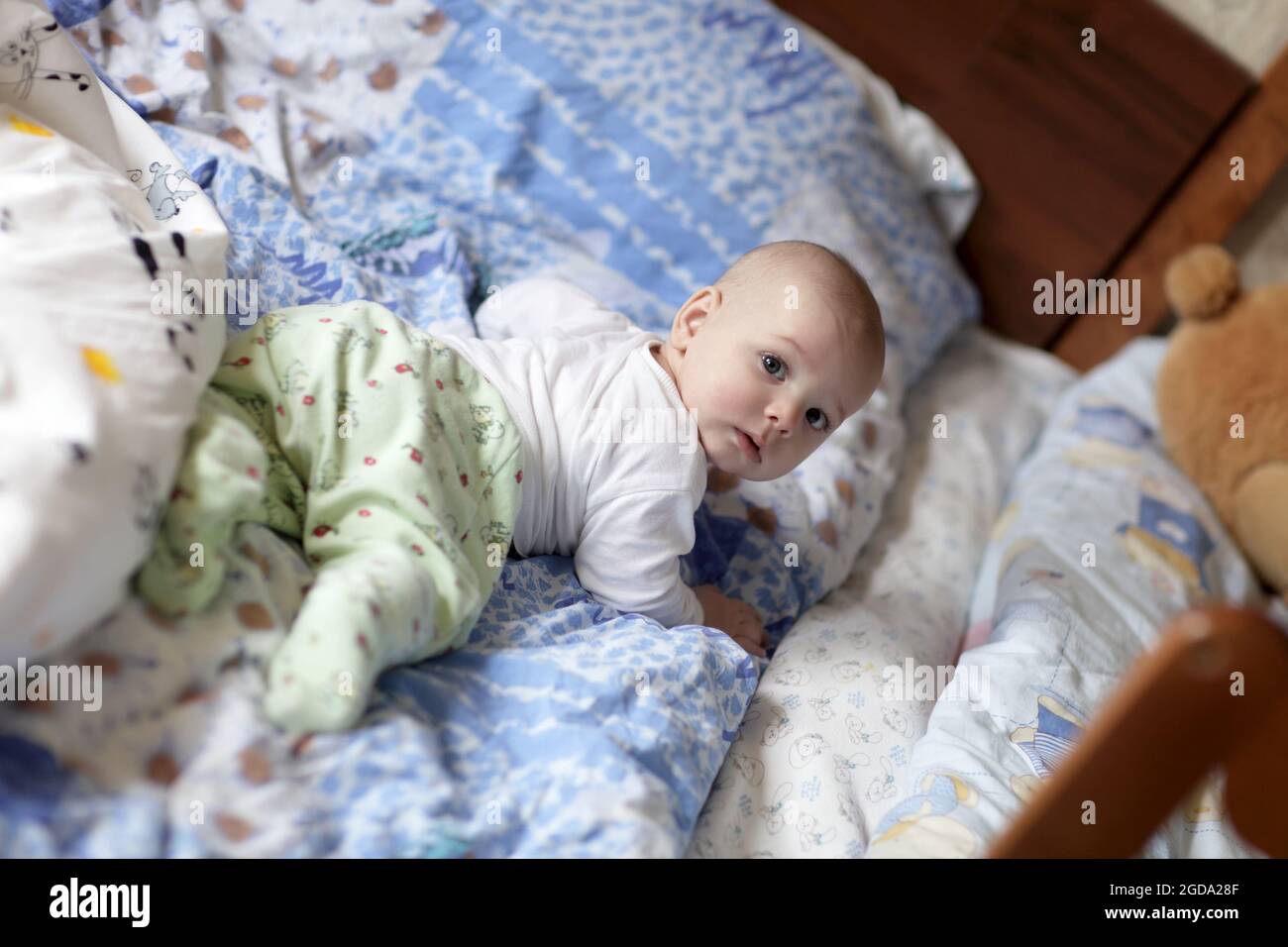 The baby creeping on a parents's bed in the morning Stock Photo - Alamy