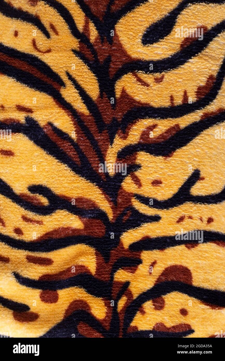 tiger print texture close up, top view, animal pattern Stock Photo - Alamy