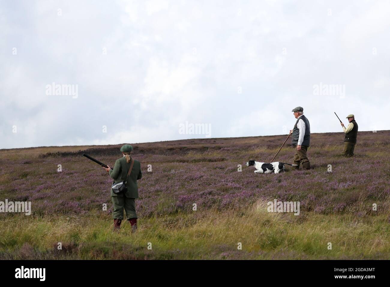 Longformacus hi-res stock photography and images - Alamy