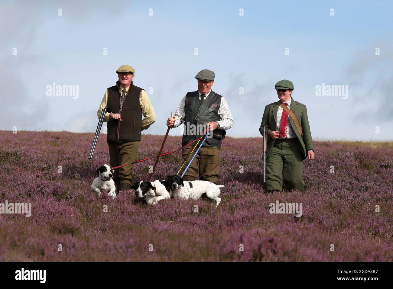 Longformacus hi-res stock photography and images - Alamy