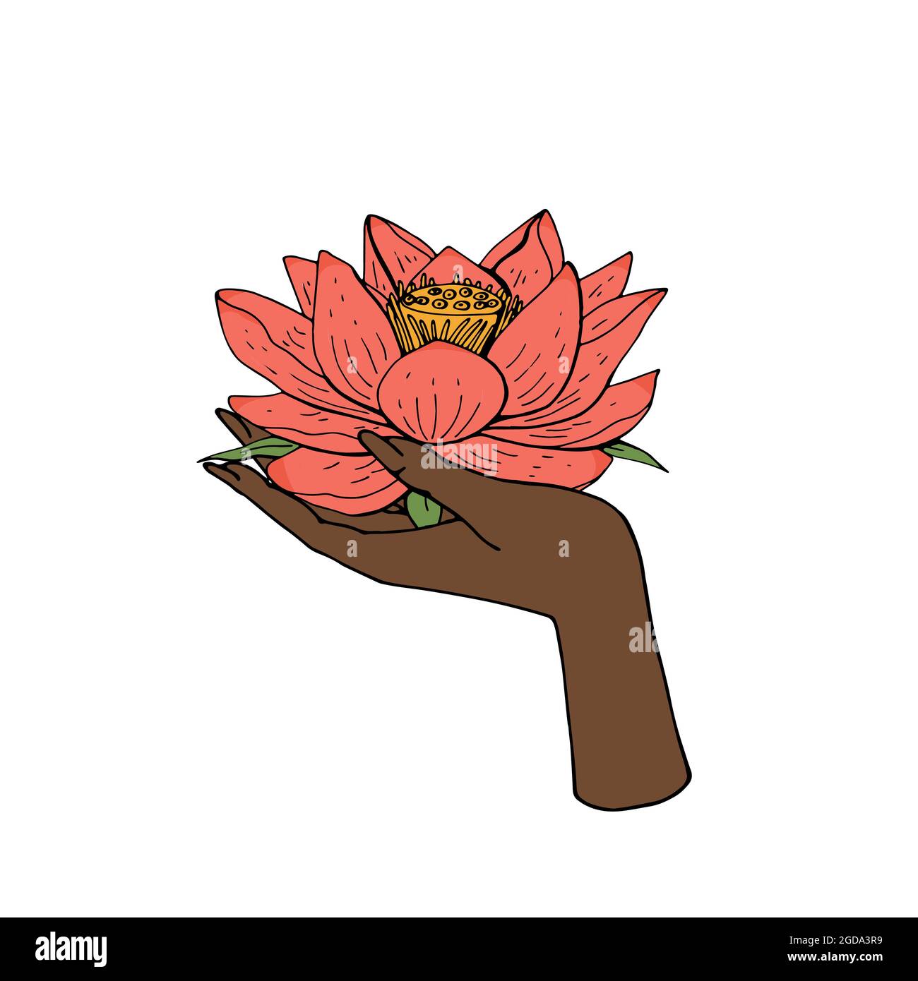 Vintage boho illustration of female Hand holding lotus Stock Vector ...