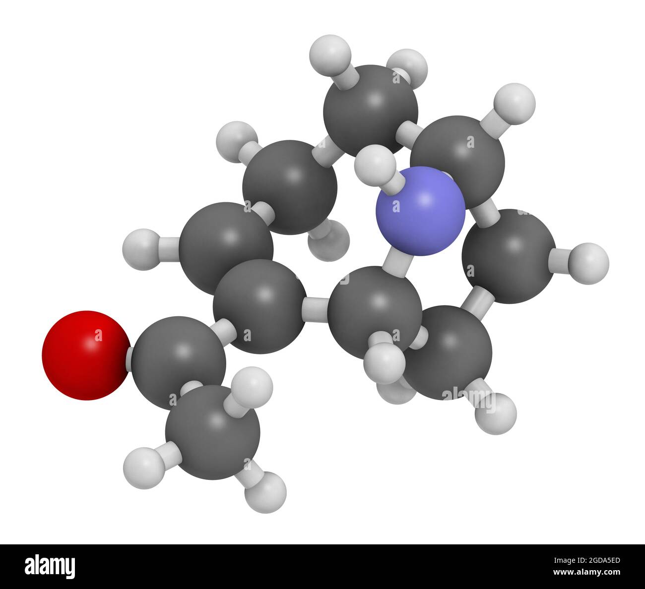 Anatoxin-a (very fast death factor, VFDF) molecule. 3D rendering Stock ...