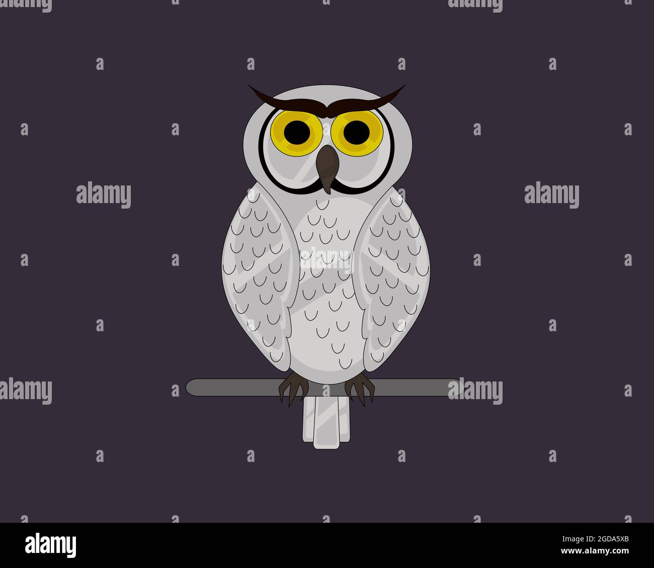 illustration of a gray cartoon owl on a dark background Stock Photo - Alamy