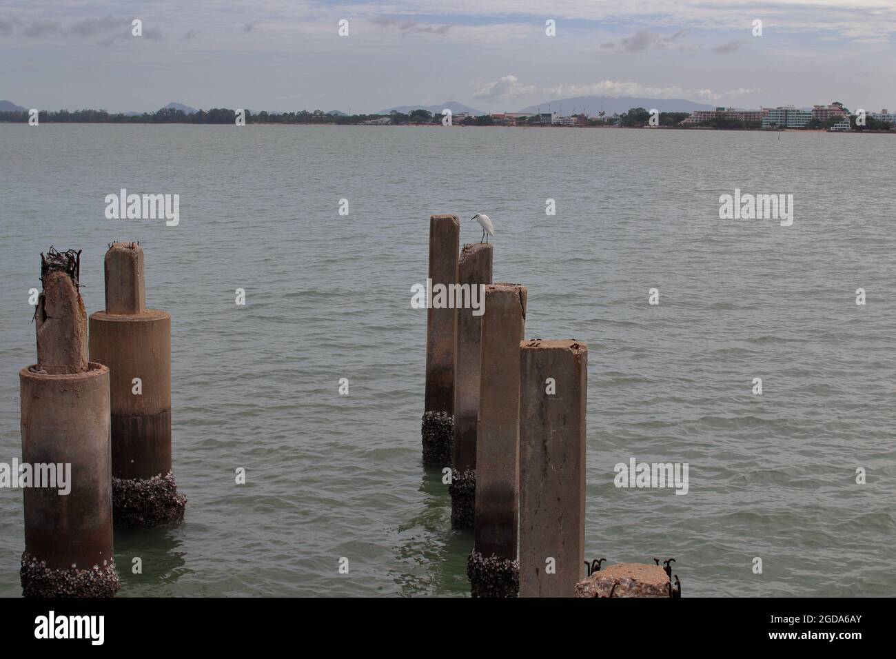 Construction girder of a platform made of steel concrte attached in the ...