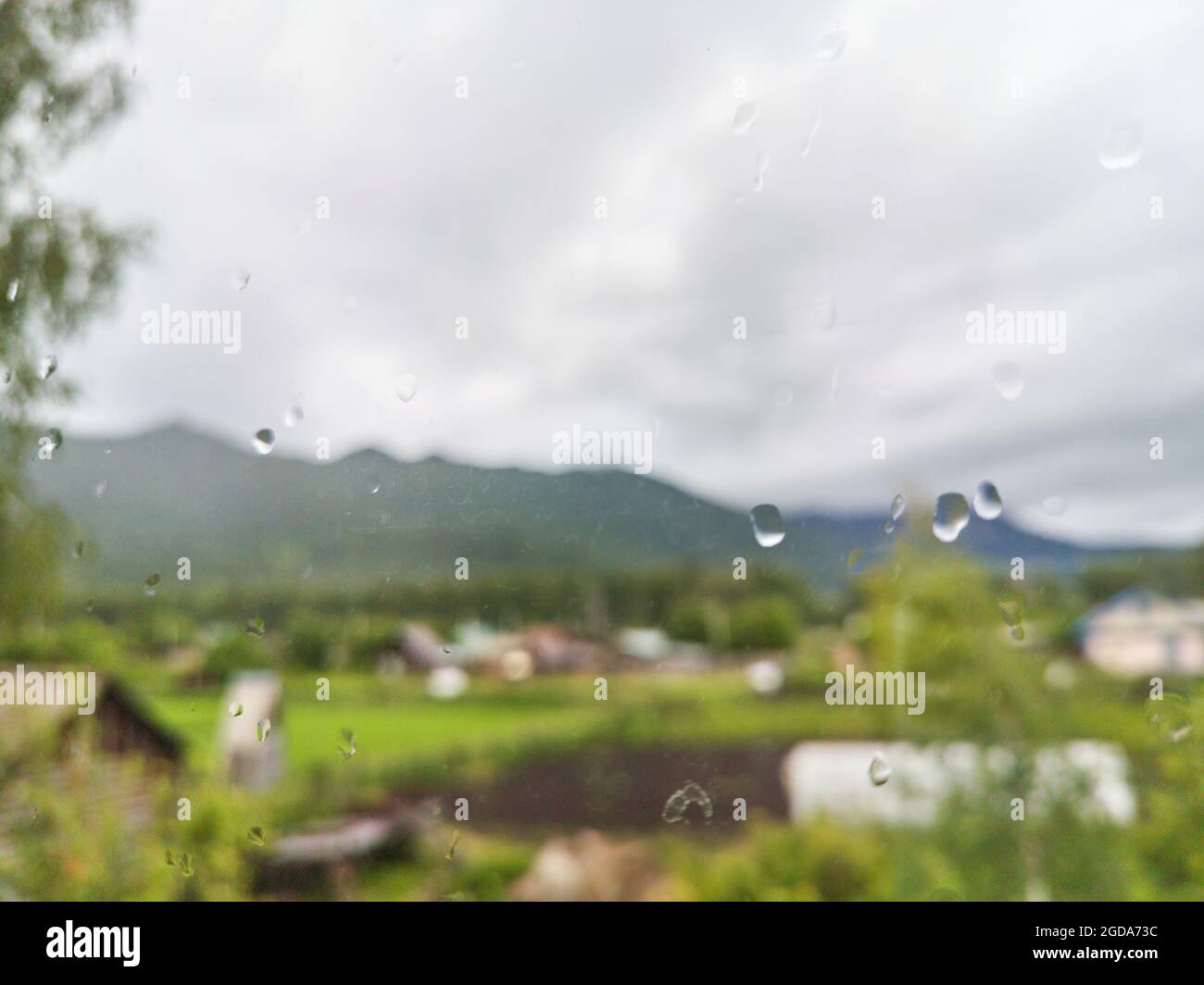 Blur mountain background. Green color. Fantastic view Stock Photo - Alamy
