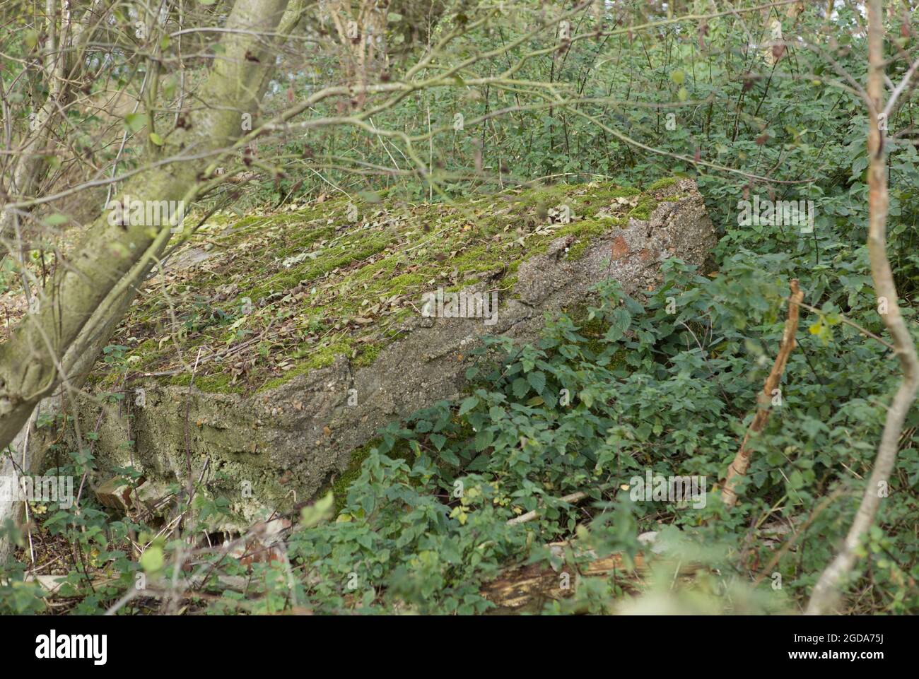 Ww2 defences hi-res stock photography and images - Alamy