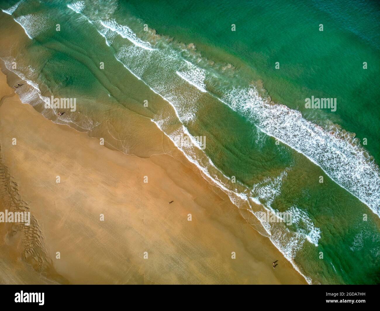 Aerial view of El Palmar beach in Vejer de la Frontera, Cadiz in Spain ...