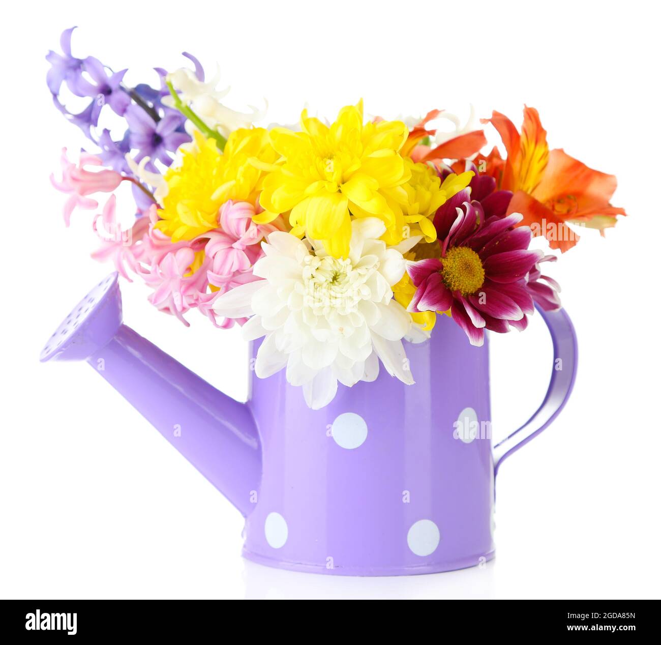 Beautiful flowers in watering can isolated on white Stock Photo - Alamy