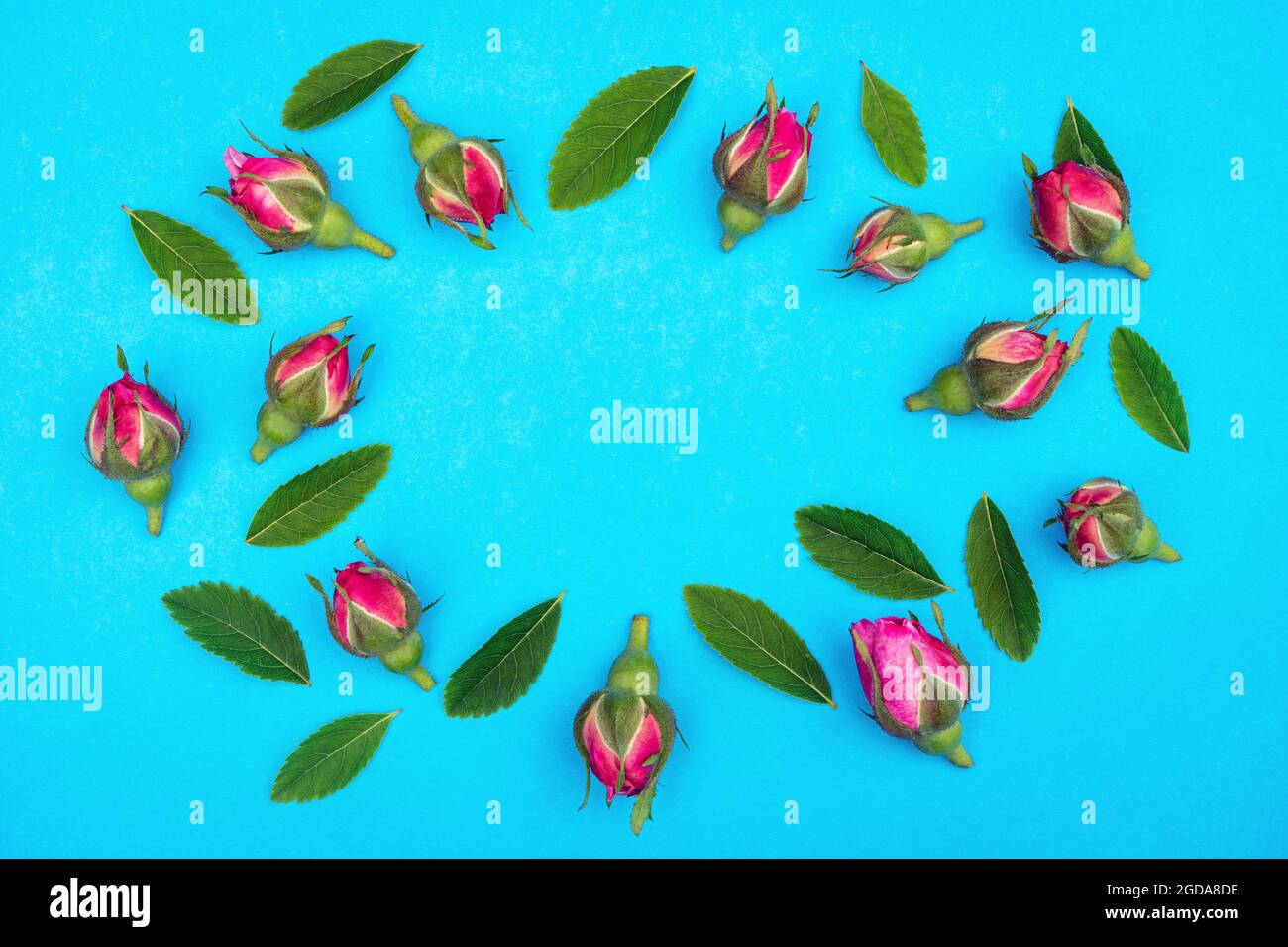 Rose buds wallpaper background hi-res stock photography and images - Alamy