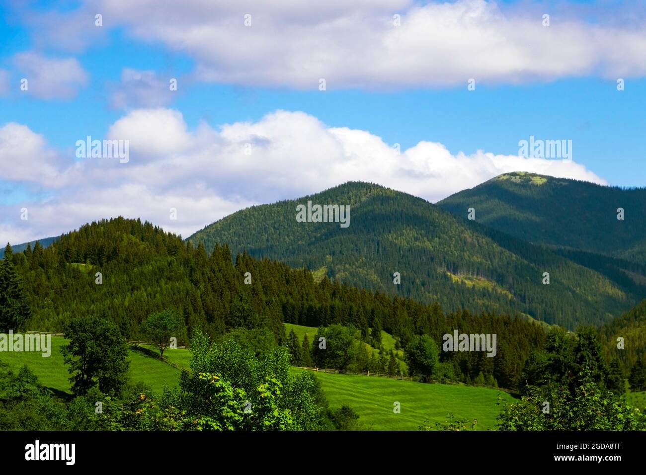Mountain landscape with green field, Nature background Stock Photo - Alamy