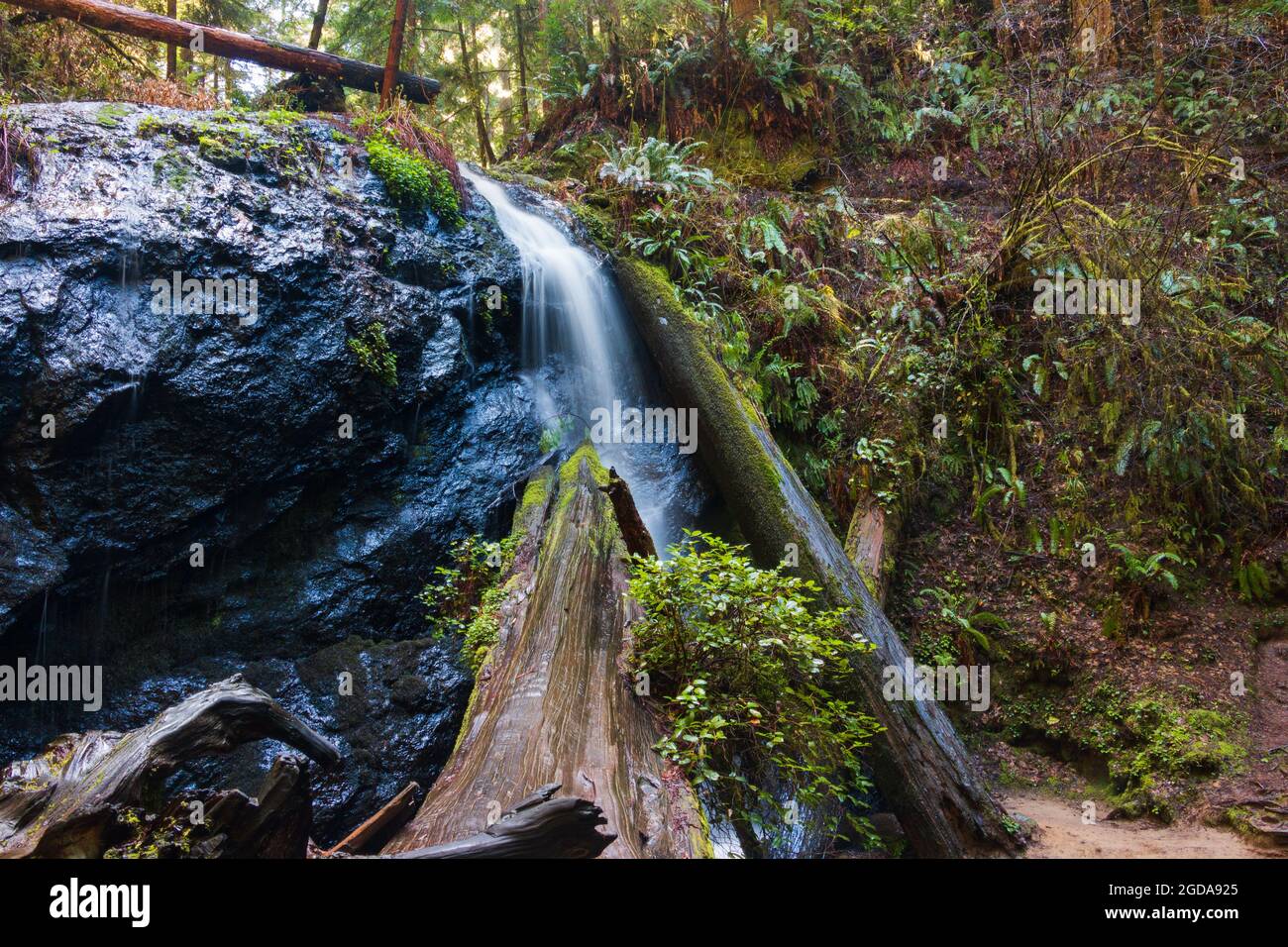 Beautiful waterfall in the forest in spring Stock Photo - Alamy