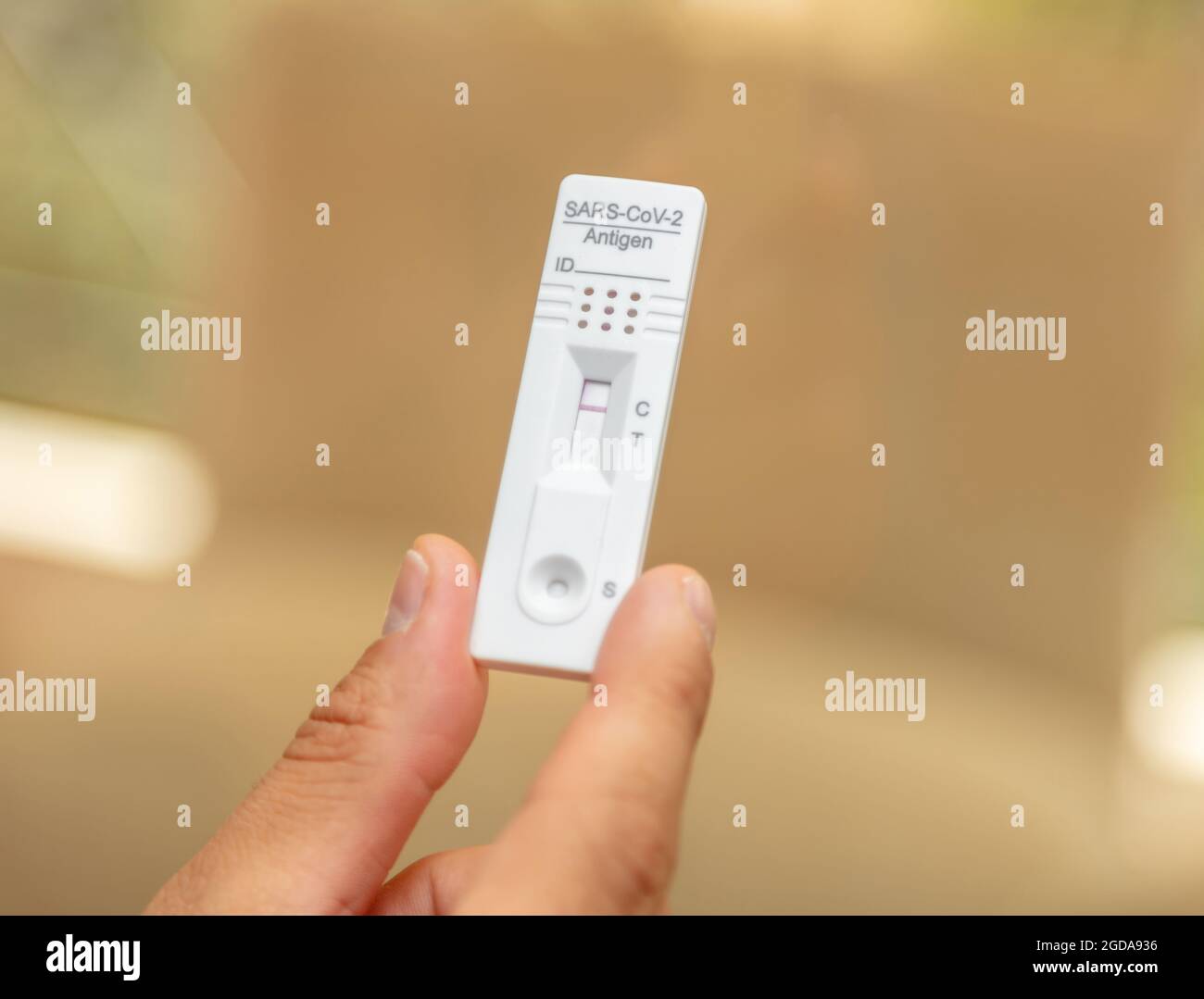 Coronavirus negative result rapid test, self testing at home, Man hand ...