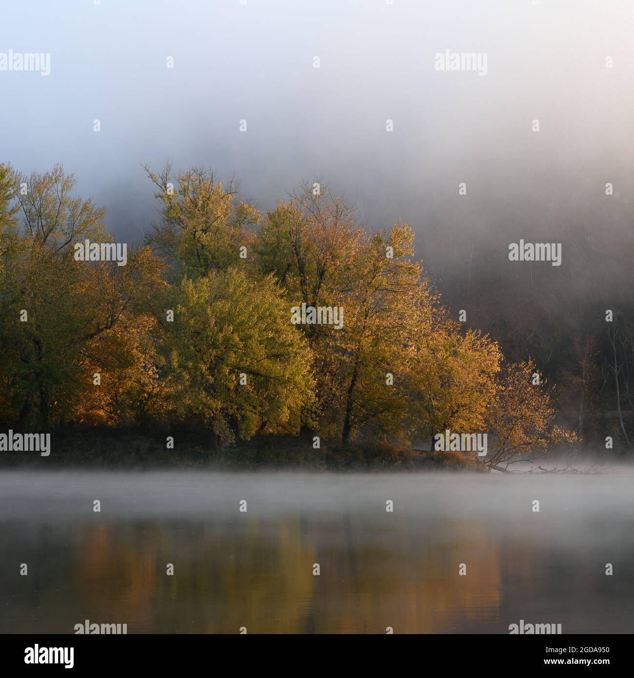Colorful trees on riverside captured on a cold foggy morning Stock ...